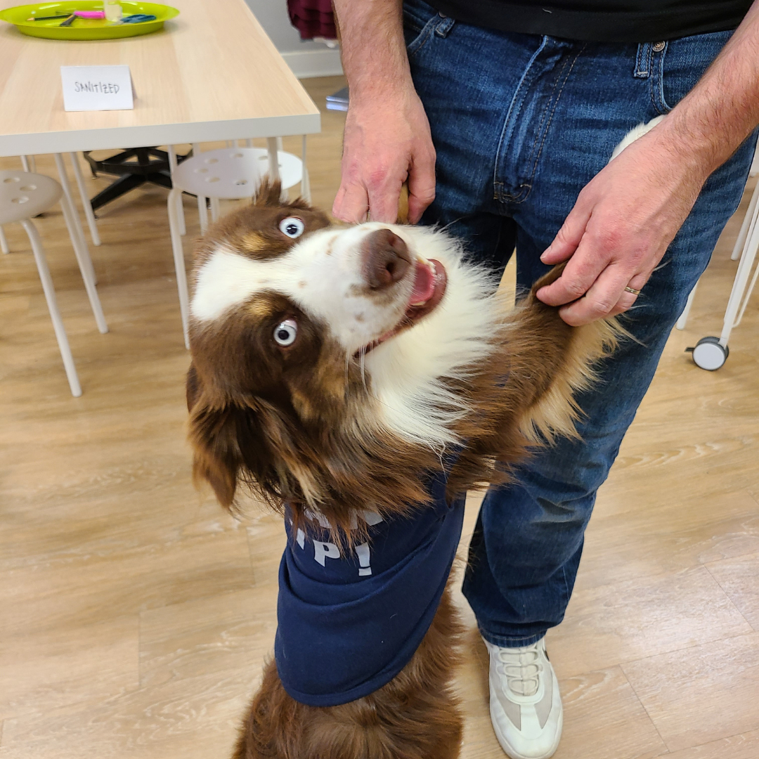 Creative Kids Workshop | Salem Center